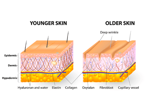Collagen Complex – Hey Nutrition